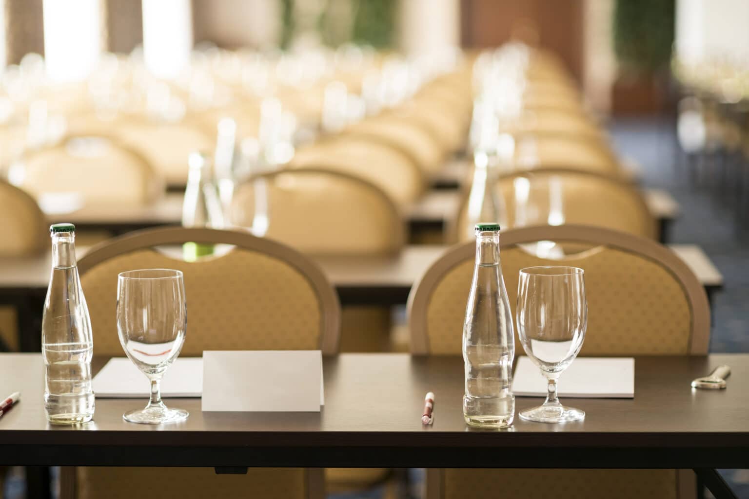 Event Staffing - VIP Staffing